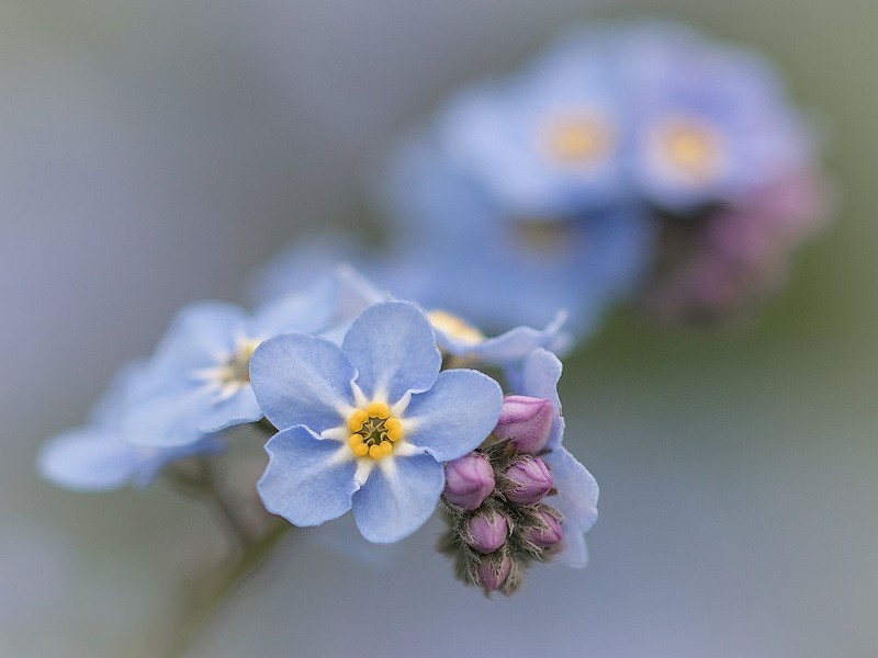 Behind the Lens with Emma Varley | Sussex Wildlife Trust