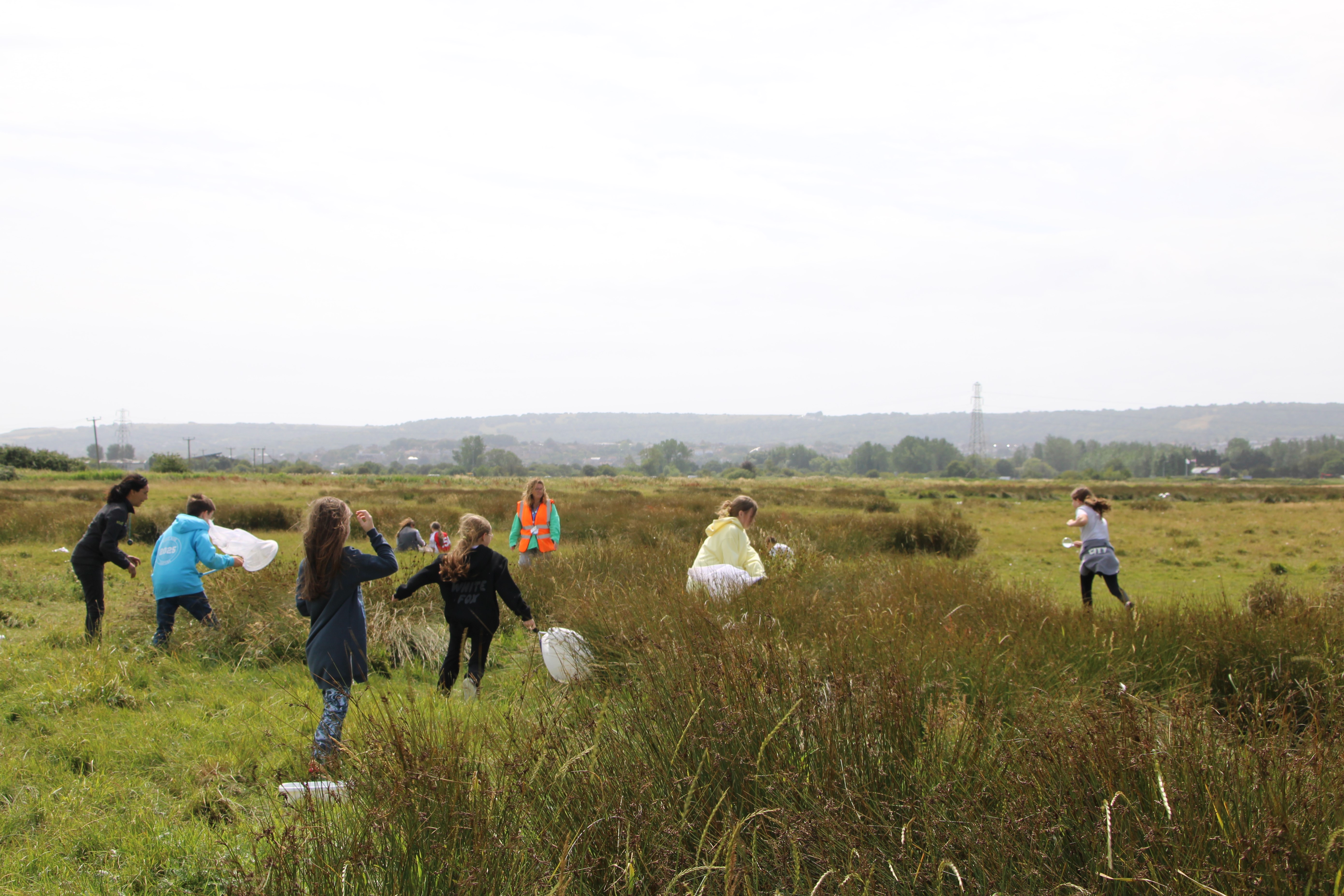 Hands on our marsh! | Sussex Wildlife Trust